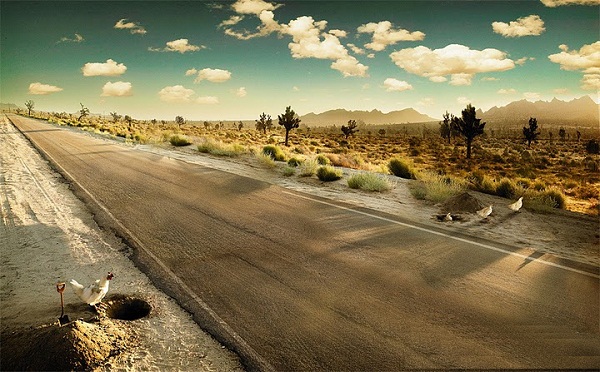 Chicken-Road – MoPo Geek